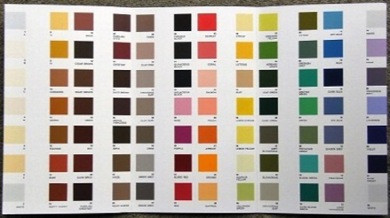 Flora of British Fungi - Colour Identification Chart (British Fungus Flora)