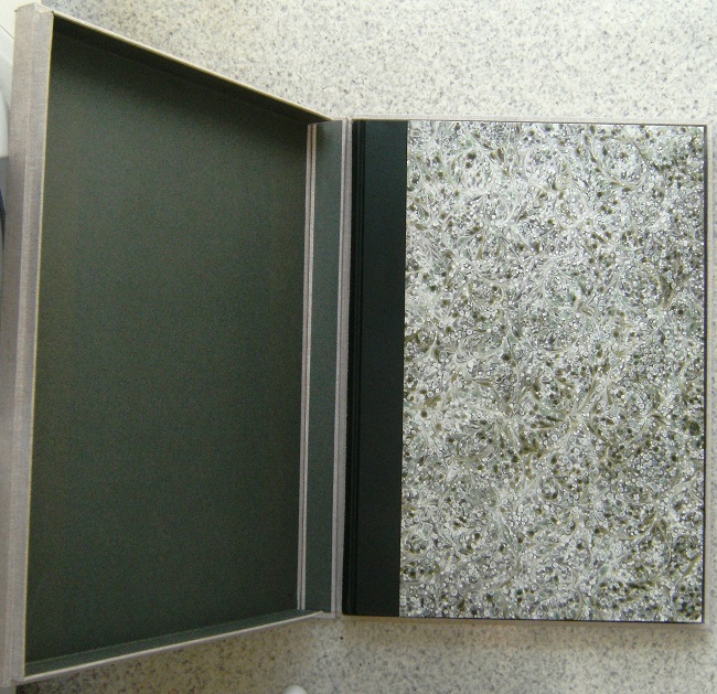 The Australian Flower Paintings of Ferdinand Bauer