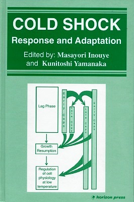 Binding: Laminated boards