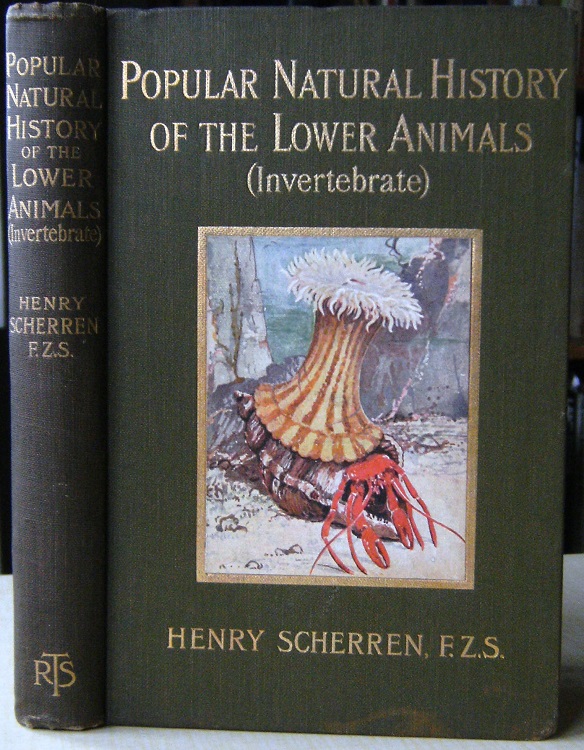 Lower Animals / Amazon Com The Lower Animals Ebook Morton Lisa Kindle ...