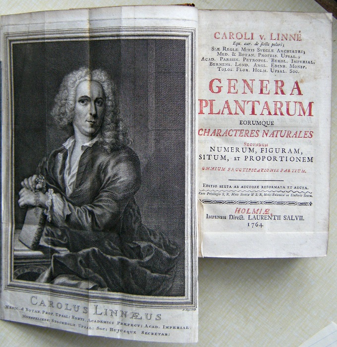 Species Plantarum, Exhibentes Plantas Rite Cognitas ad Genera Relatas ...