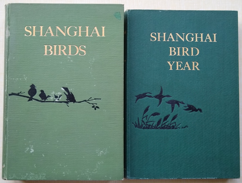 Shanghai Birds - a study of bird life in Shanghai and the surrounding ...