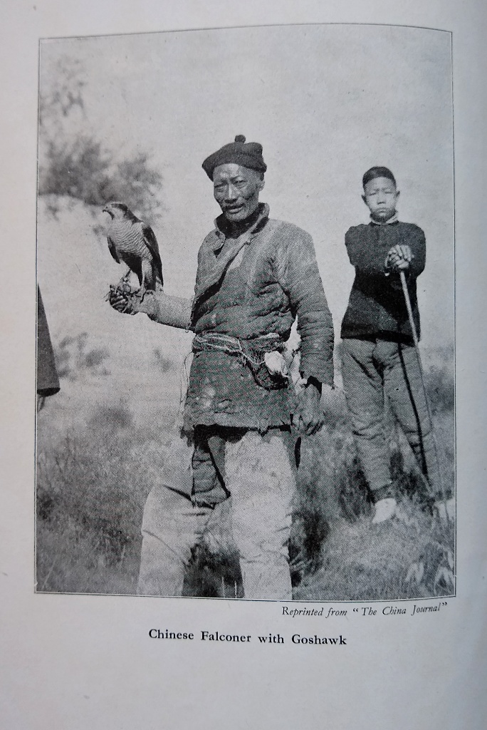 Shanghai Birds - a study of bird life in Shanghai and the surrounding ...