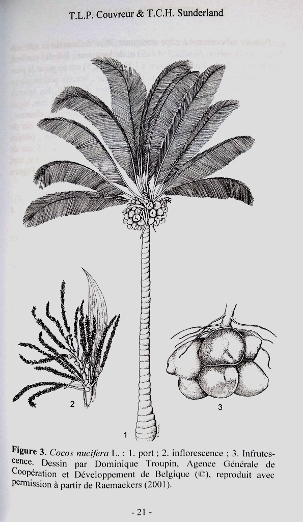 Flore du Cameroun, Volume 39 : The Vascular Plants of Cameroon: A ...