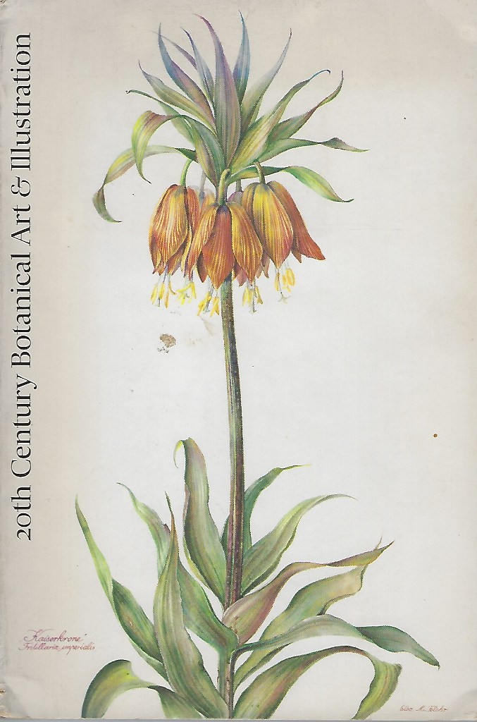 Category: Botanical Illustration