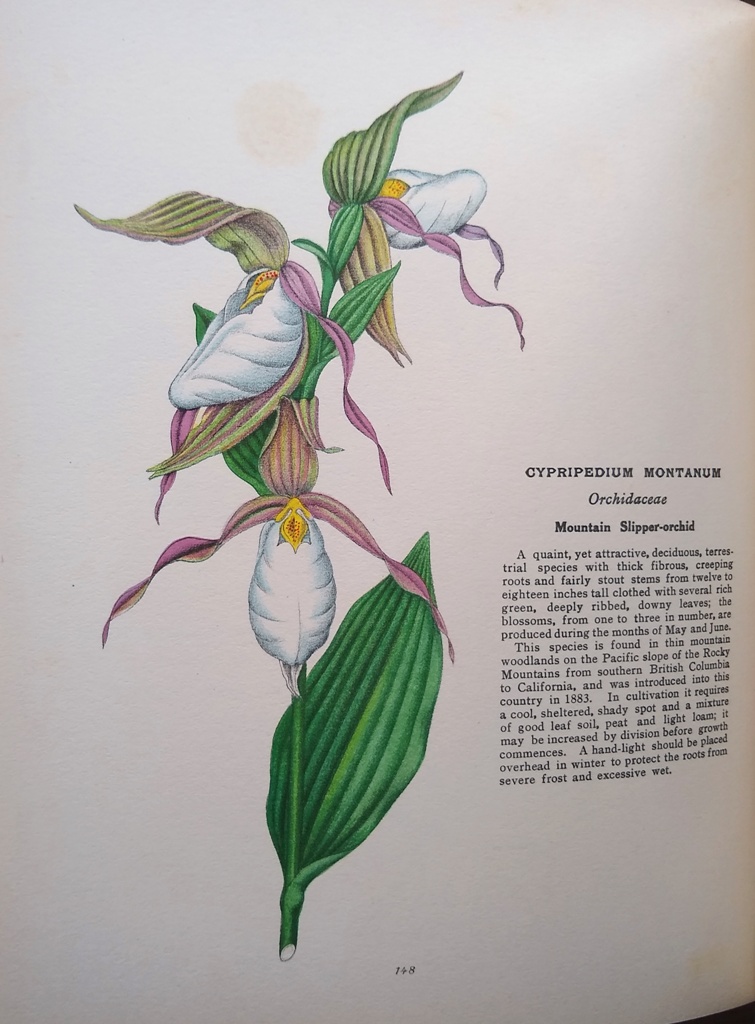 Hardy and Half-Hardy Plants - illustrations and descriptions of ...