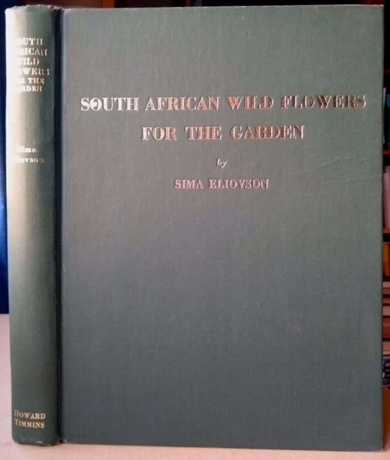 South African Wild Flowers for the Garden - how to grow them, identify ...