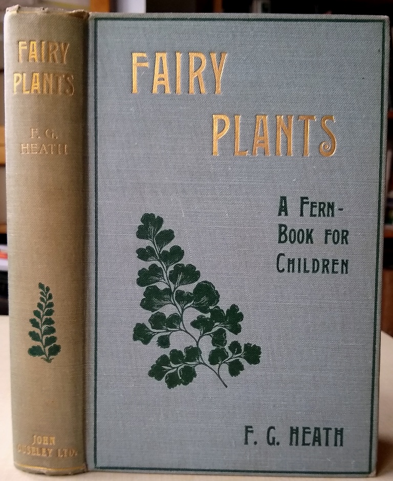 Category: Ferns