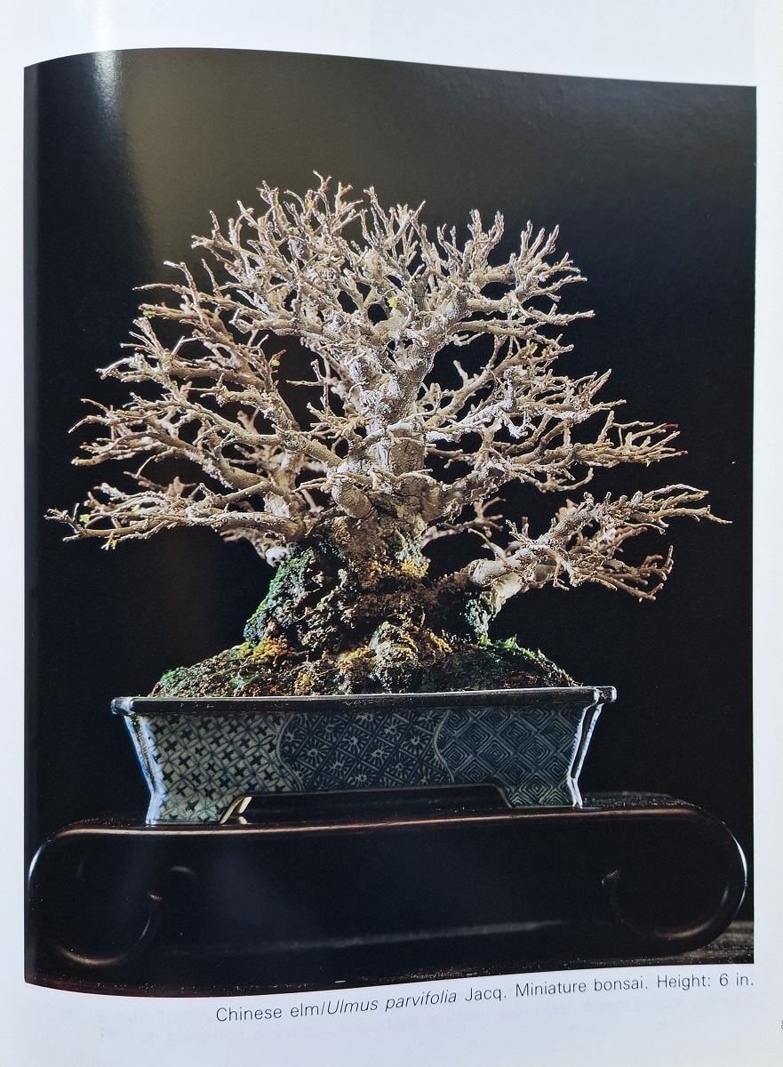 The Japanese Art of Stone Appreciation: Suiseki and Its Use With Bonsai